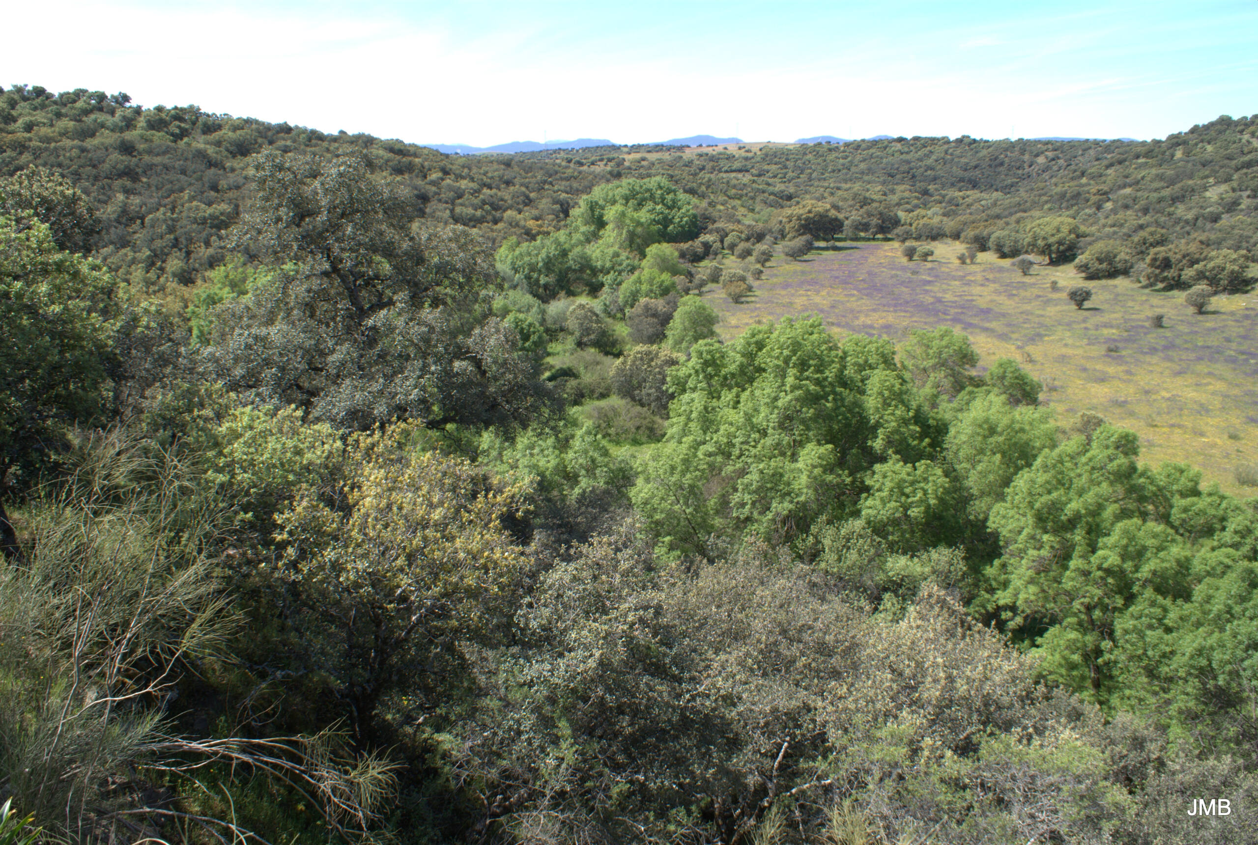 Olistostroma del Pedroso | Geositios de Extremadura | Geoparque VIJ